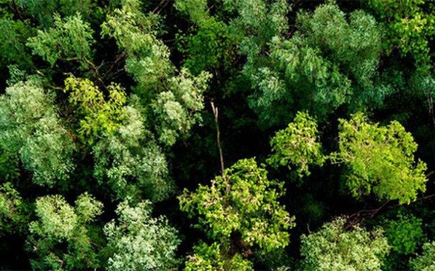 Iñaki Ereño: Last Chance to protect the health of the planet | Bupa Group